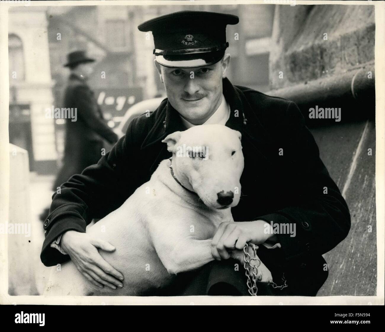 1962 - Dog goes by air to the Lebanon. Files to his r.a.f. Master ...