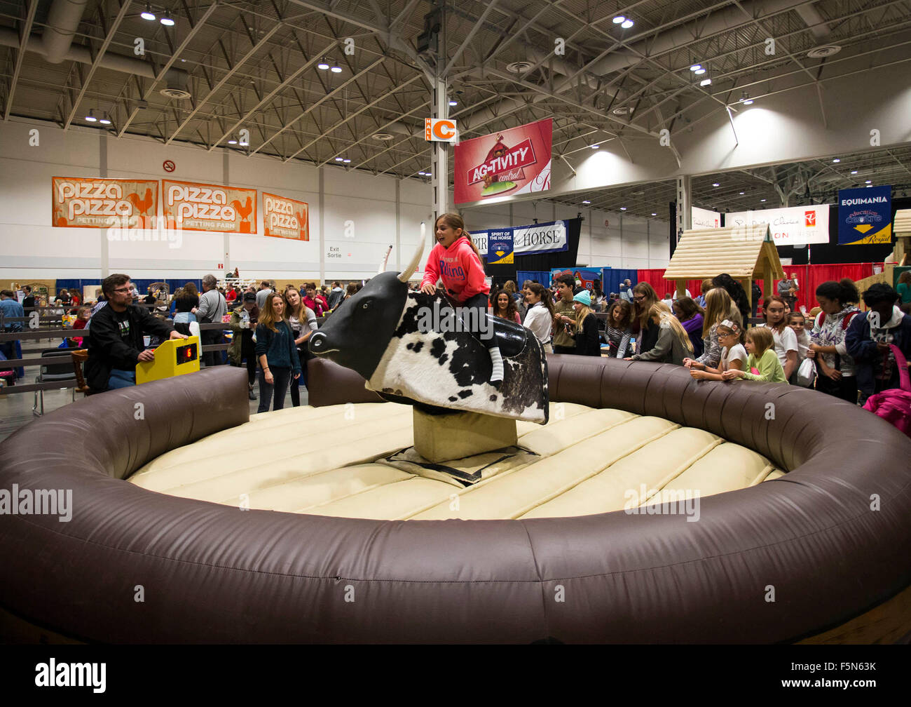Bull riding experience hi-res stock photography and images - Alamy