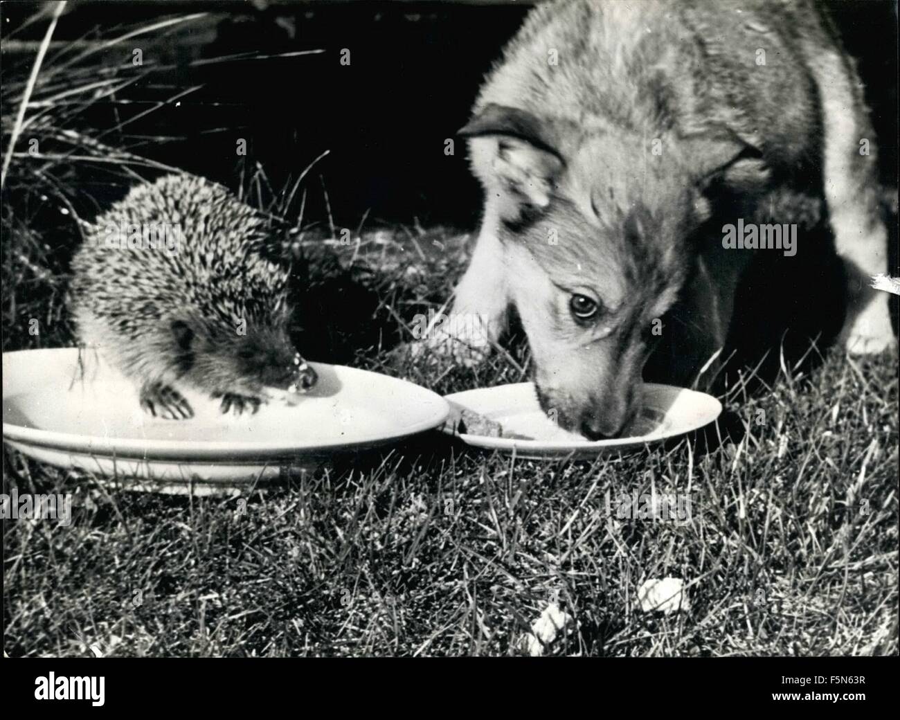 1968 - It is often believed that animals of different families can ...