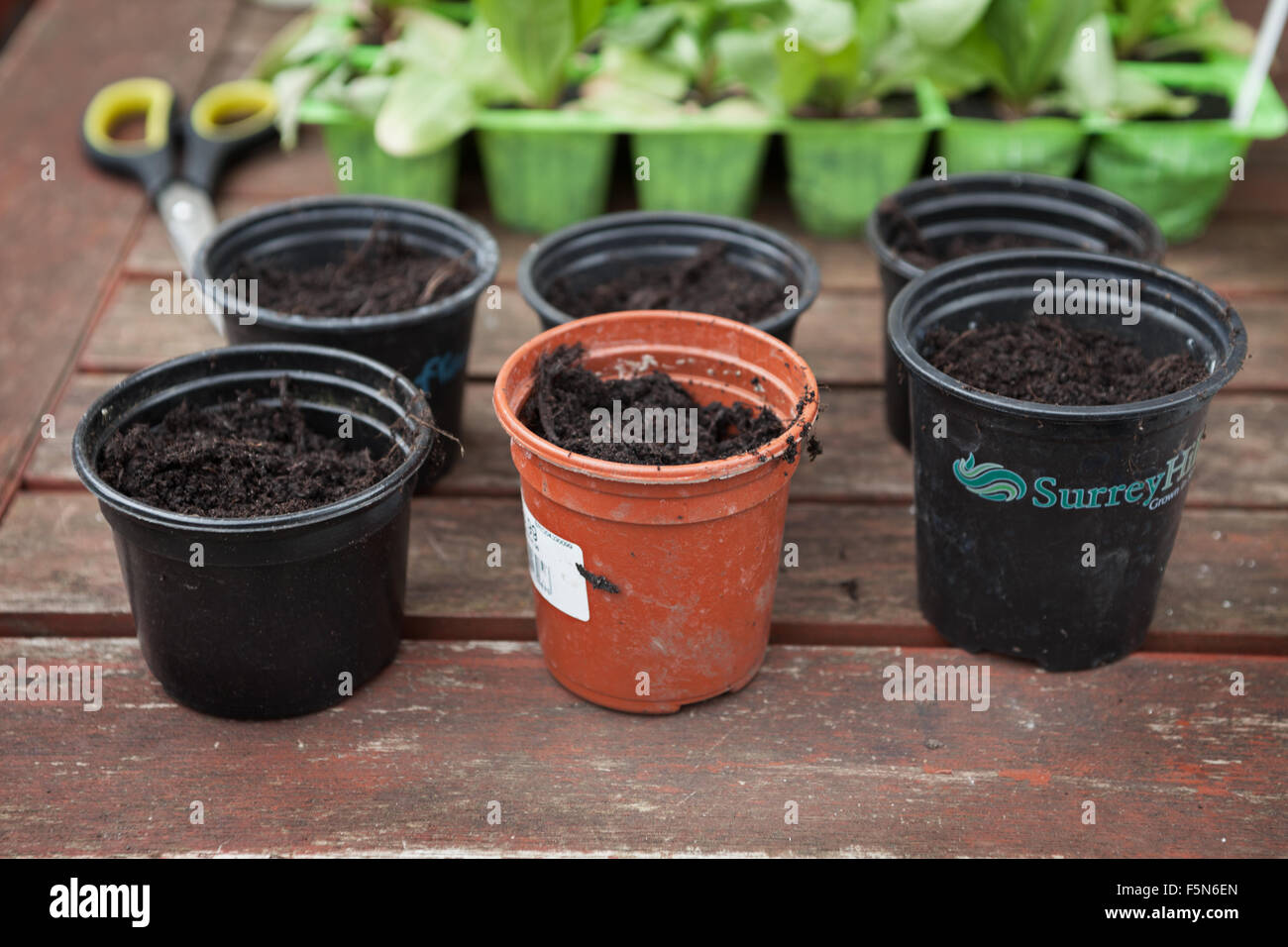 Garden plant pots filled with earth and ready for potting Stock Photo ...