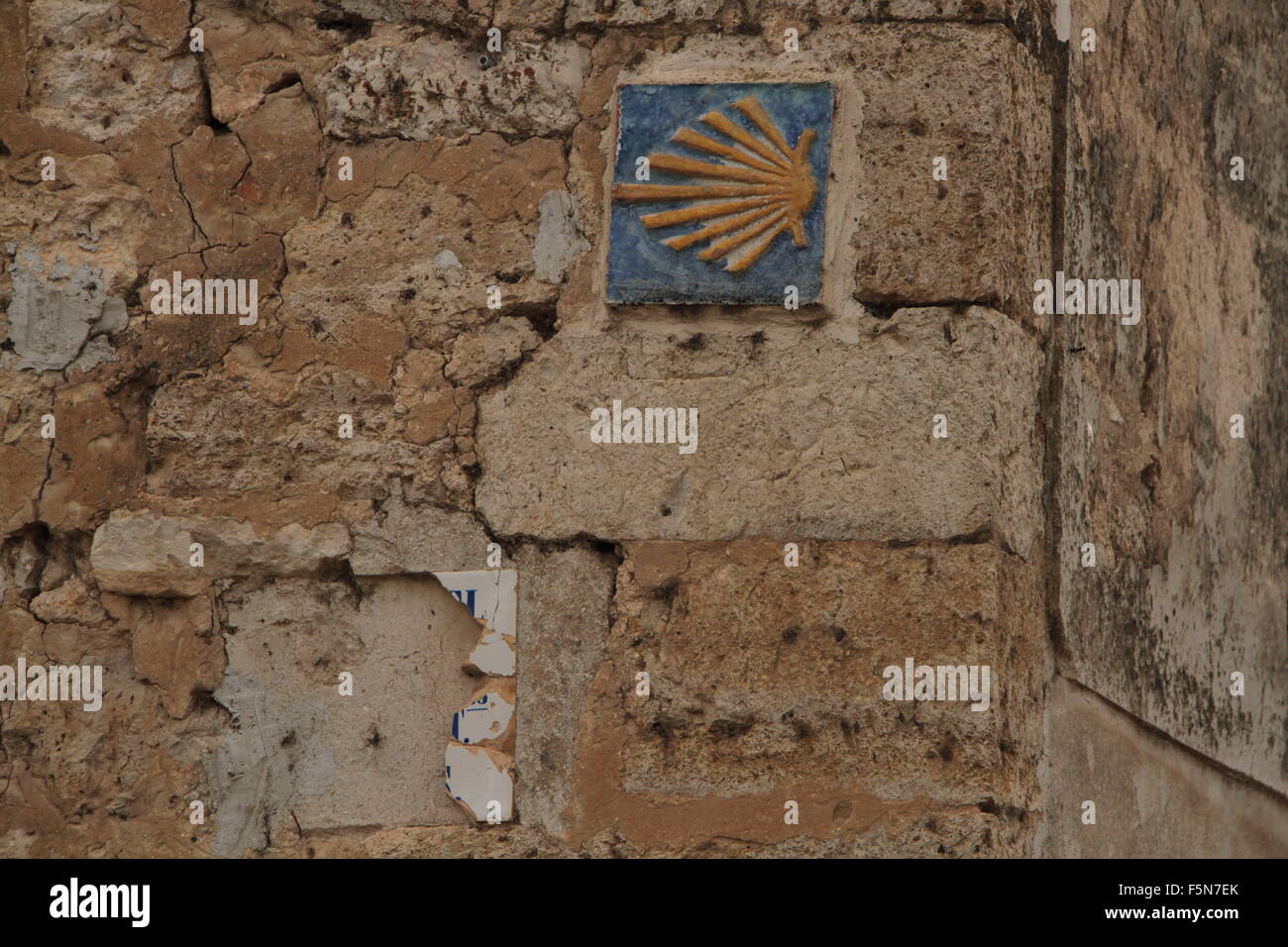 Scallop tile hi-res stock photography and images - Alamy