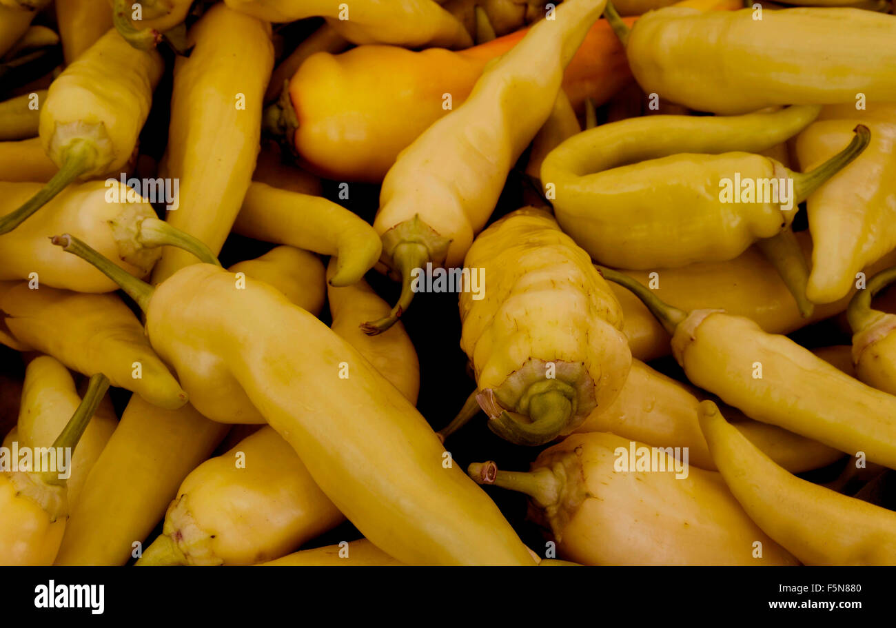 Close up of a lot of yellow paprika, photo from the North of Greece ...