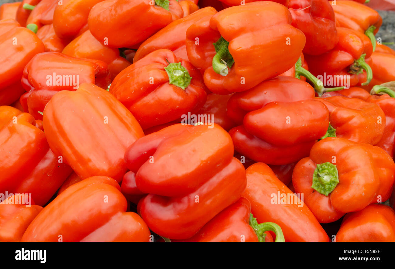 Close up of a lot of red paprika, photo from the North of Greece Stock ...