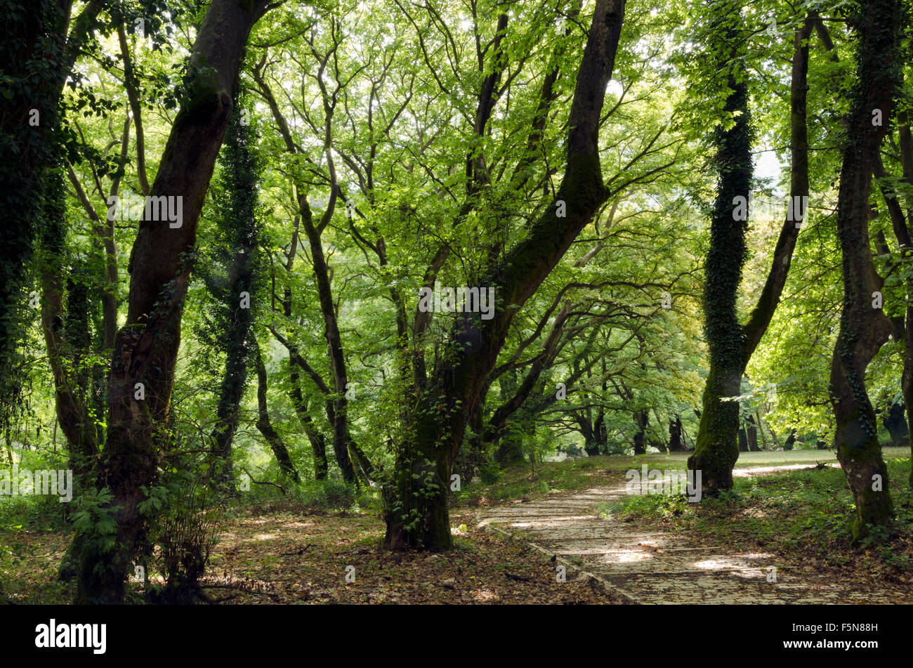 Protected outdoor hi-res stock photography and images - Alamy