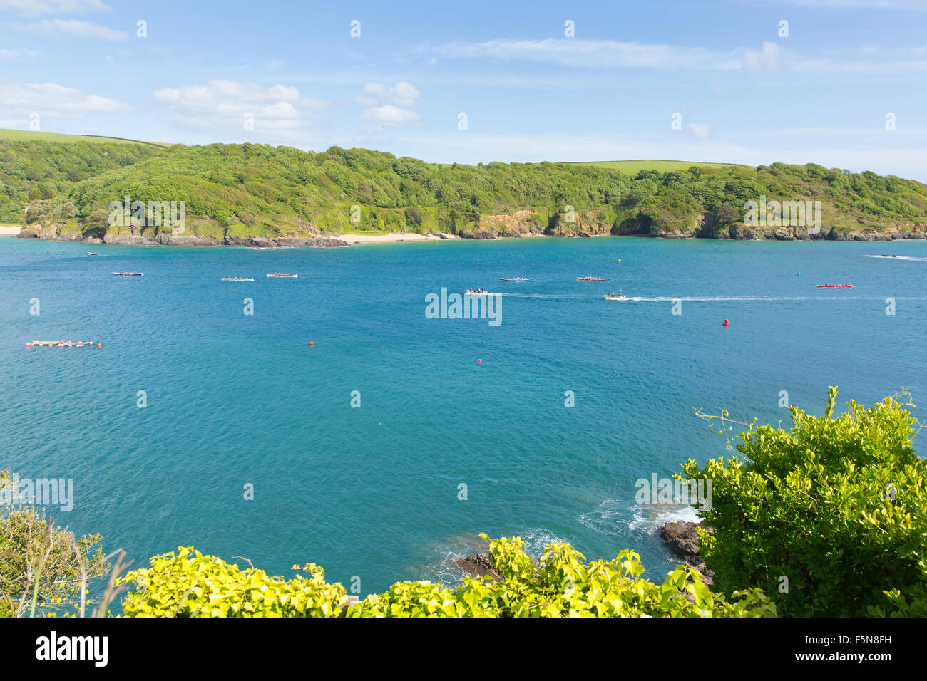 Salcombe estuary Devon coast England uk with pilot gig boats and blue ...