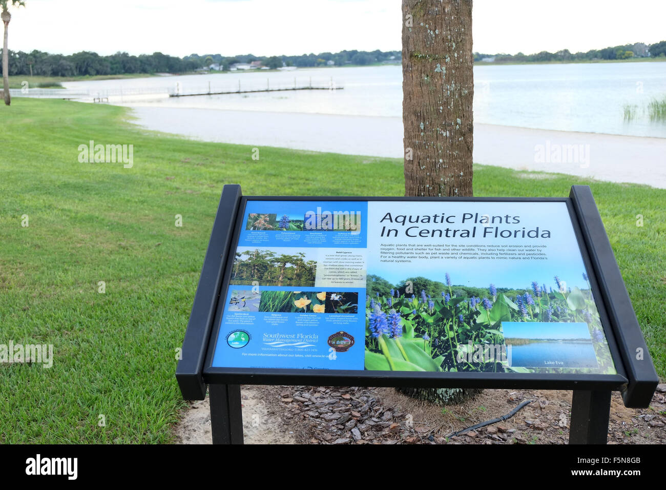 A couple walking beside Lake Eva, in Florida, USA, October 2015 Stock ...