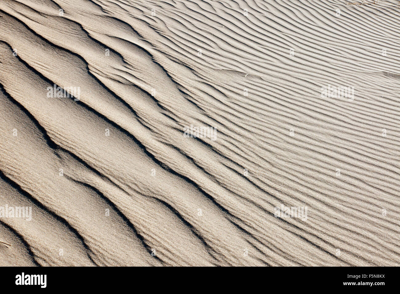 Ripples in a sand dune in the early morning sun Stock Photo - Alamy