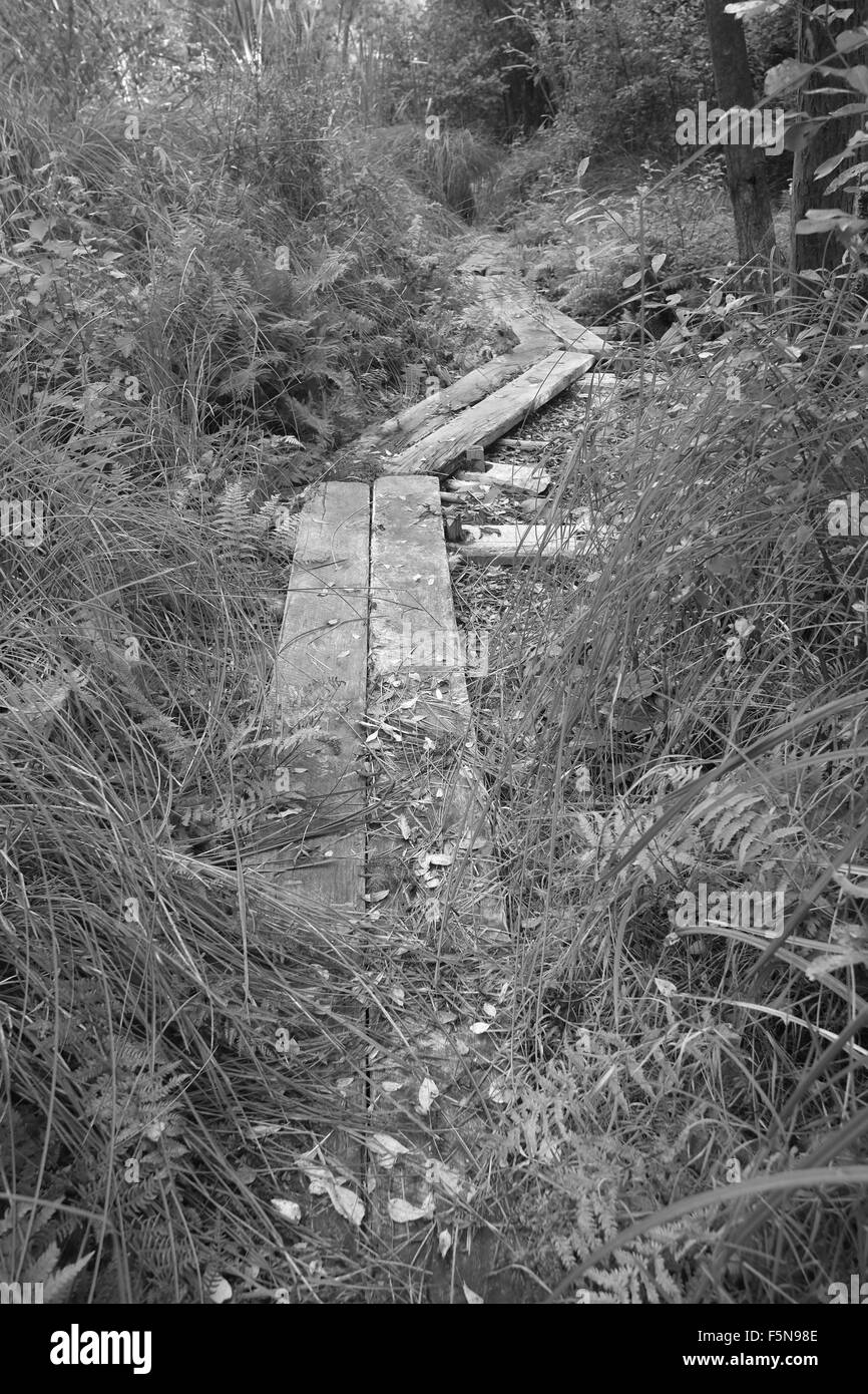 Bronze age walkway at Meare Heath, Somerset, a replica of a walkway ...