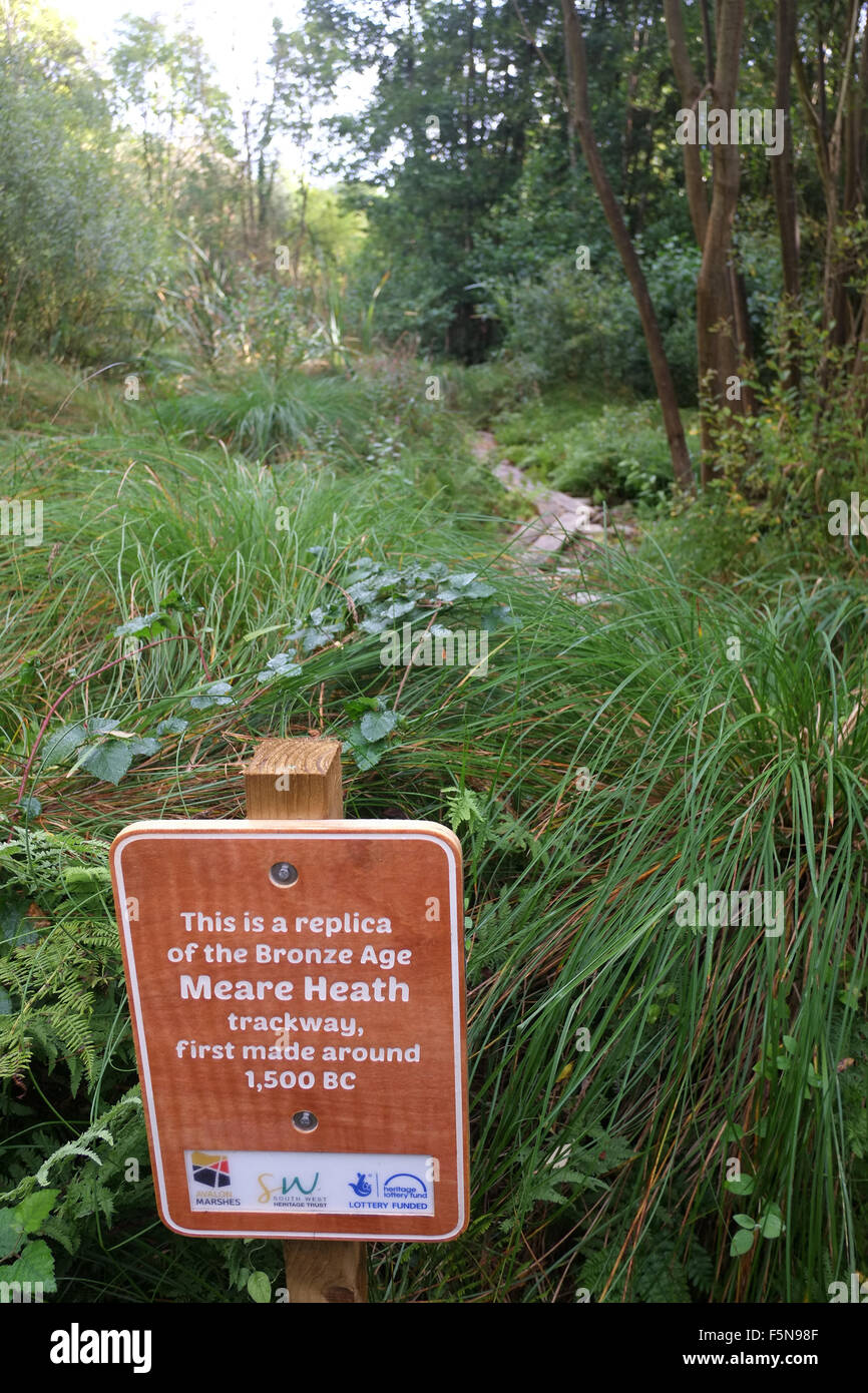 Bronze age walkway at Meare Heath, Somerset, a replica of a walkway ...