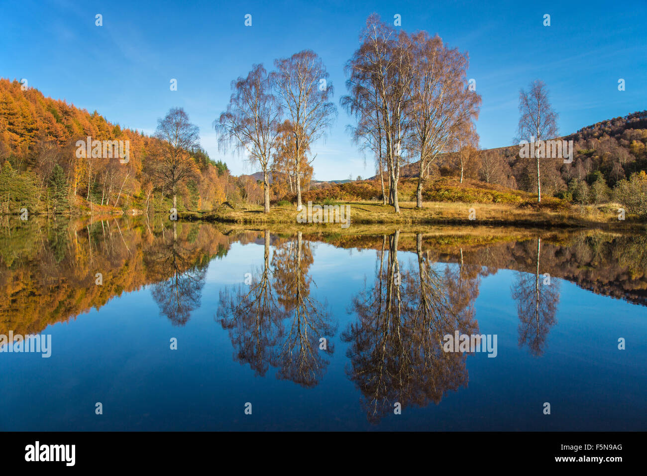 Perfect reflections of the autumn colors at Loch Tummel, Scotland Stock ...