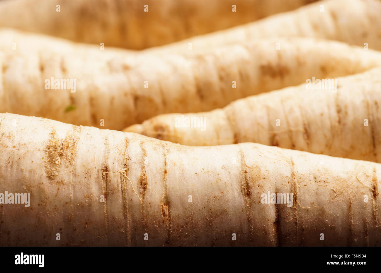 pile of Parsley root, close up and background Stock Photo - Alamy