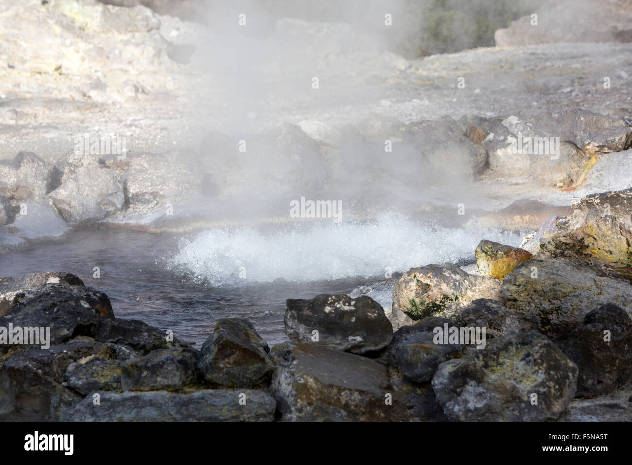 Many geysers, hot-springs and fumaroles scattered in the central ...