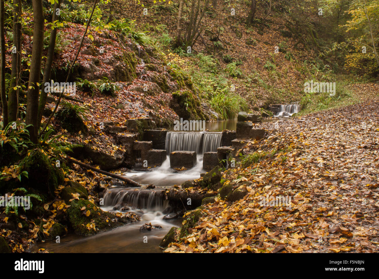 Grewelthorpe High Resolution Stock Photography and Images - Alamy