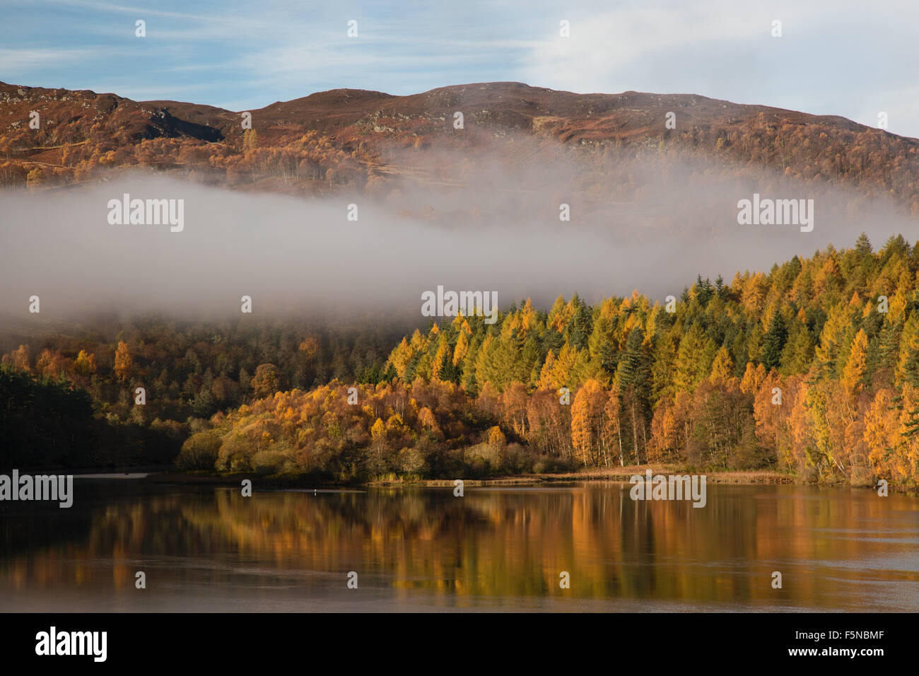 Autumn colors and mist at Loch Faskally, Pitlochry, Perthshire ...