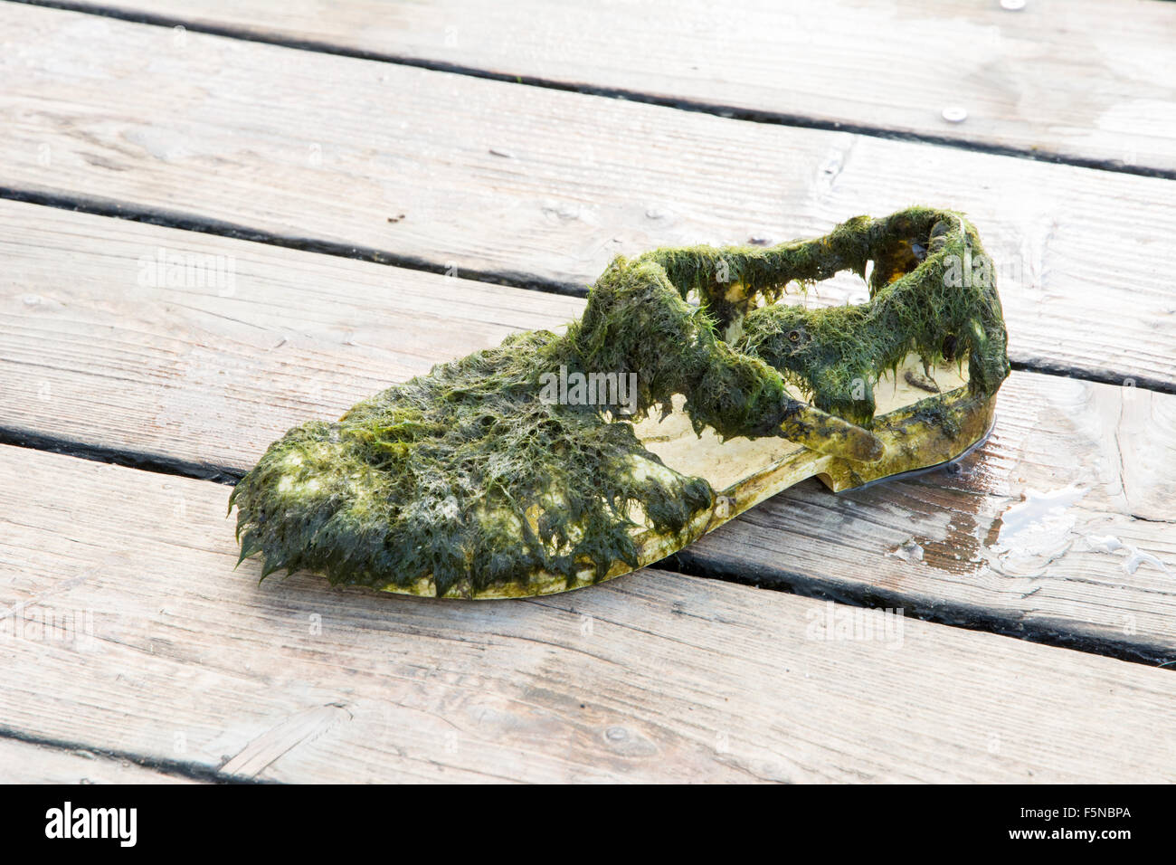Wet shoe hi-res stock photography and images - Alamy