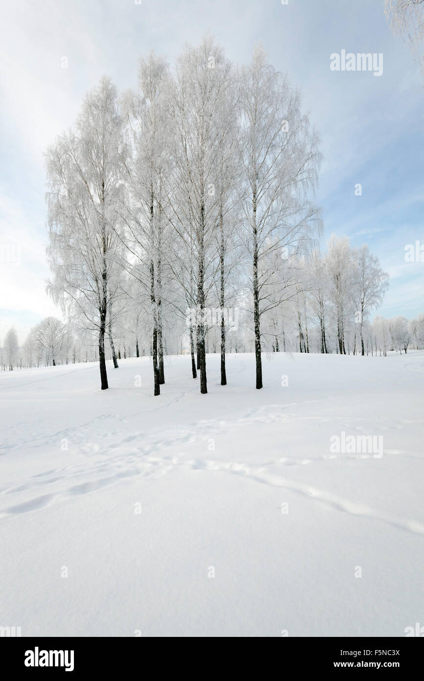 Winter Park. snow Stock Photo - Alamy