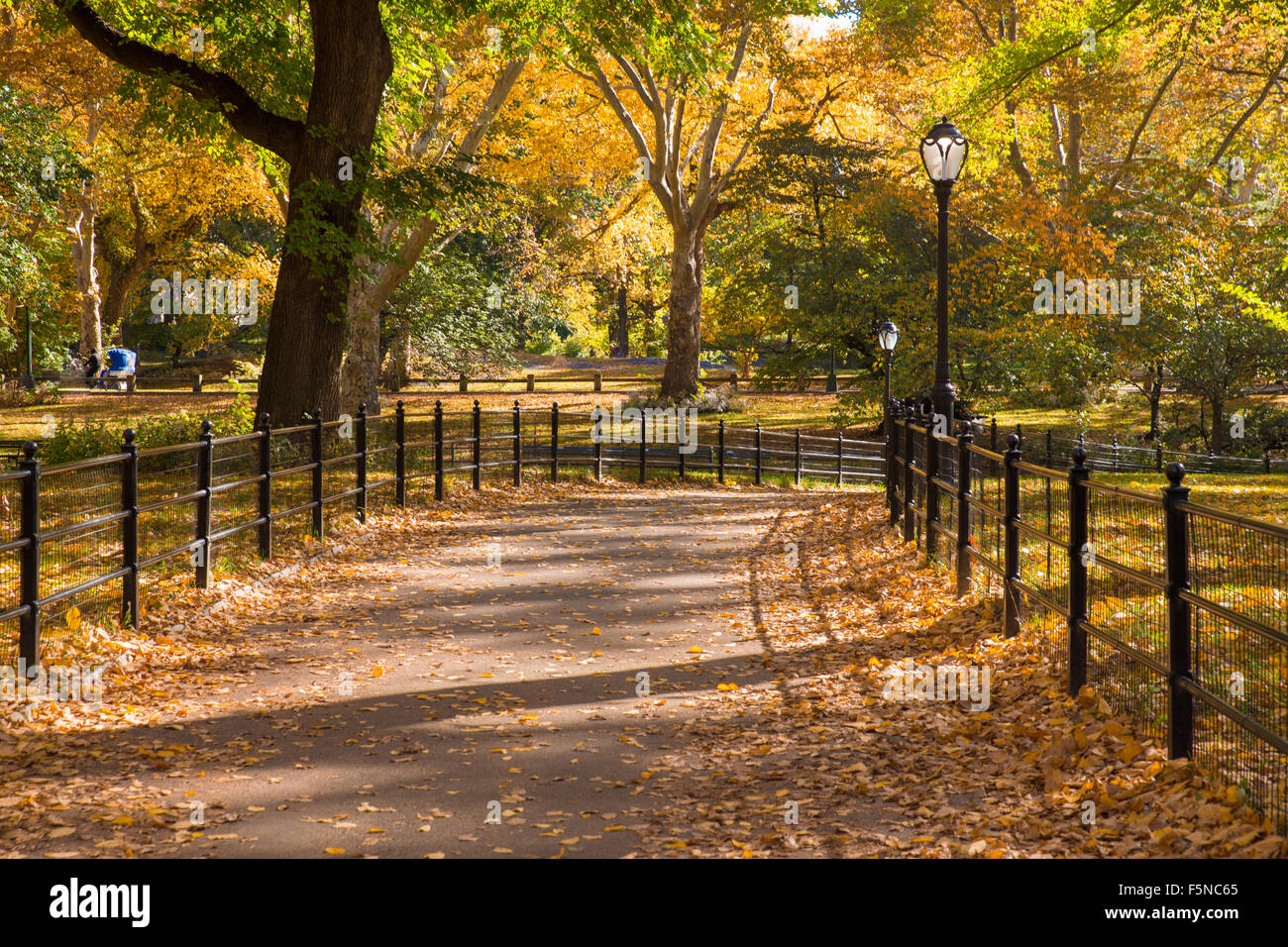 Colorful autumn path through Central Park in New York City Stock Photo ...