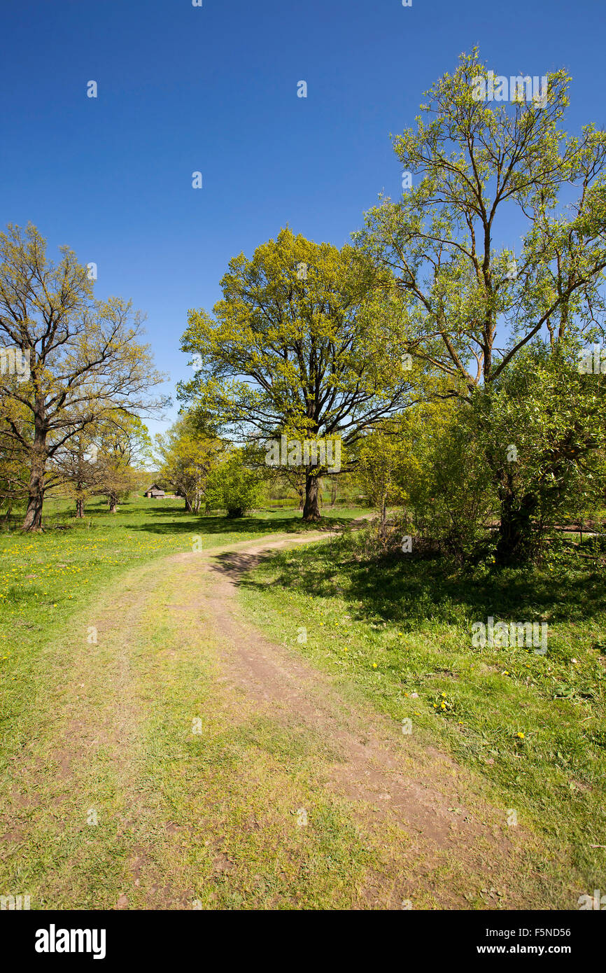 Spring road. countryside Stock Photo - Alamy