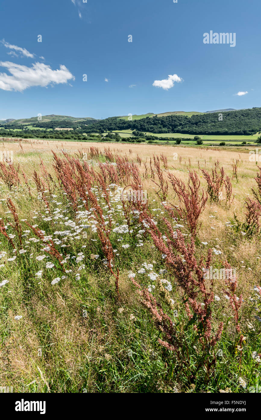 Morfa Madryn Lavan Sands near Llanfairfechan North Wales looking ...