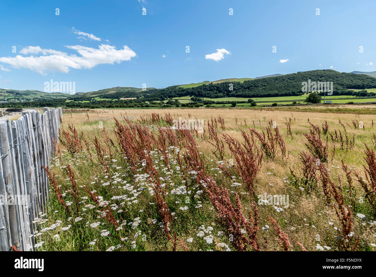 Morfa Madryn Lavan Sands near Llanfairfechan North Wales looking ...