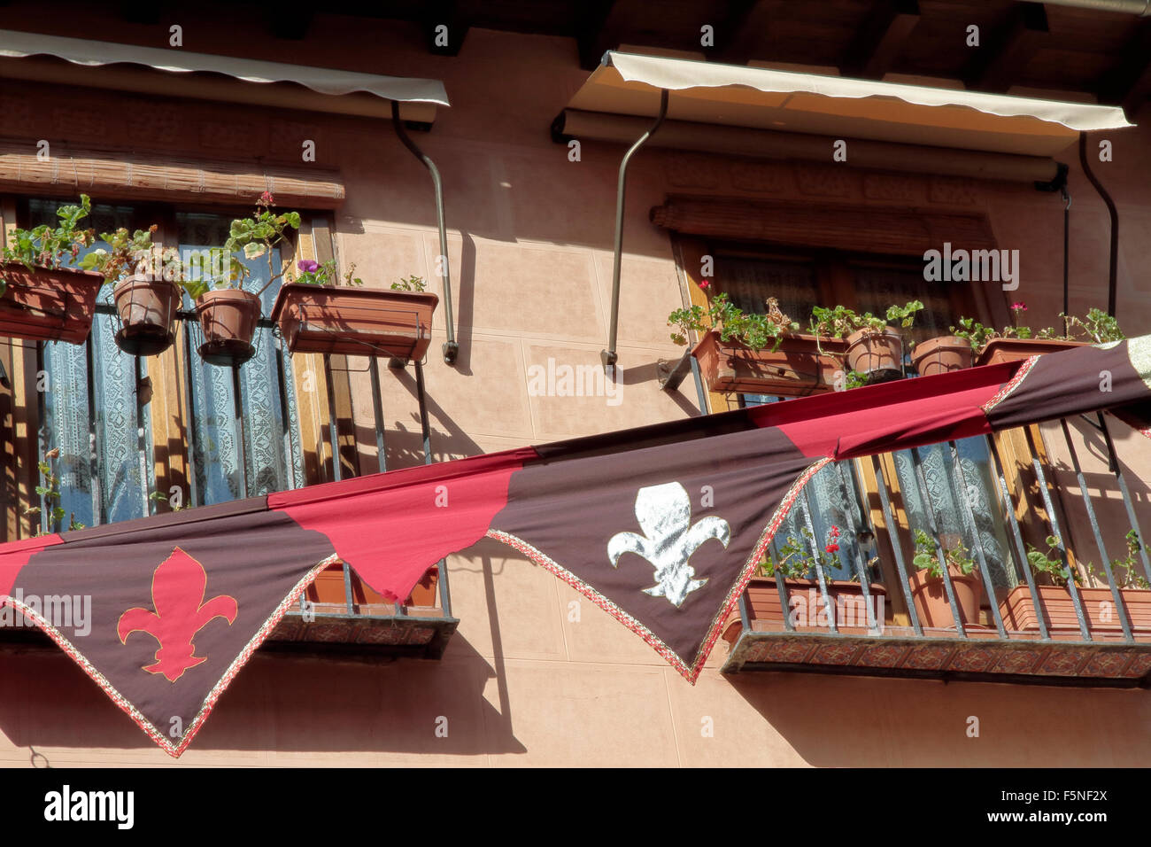 medieval banner with two lily flowers as symbol Stock Photo - Alamy