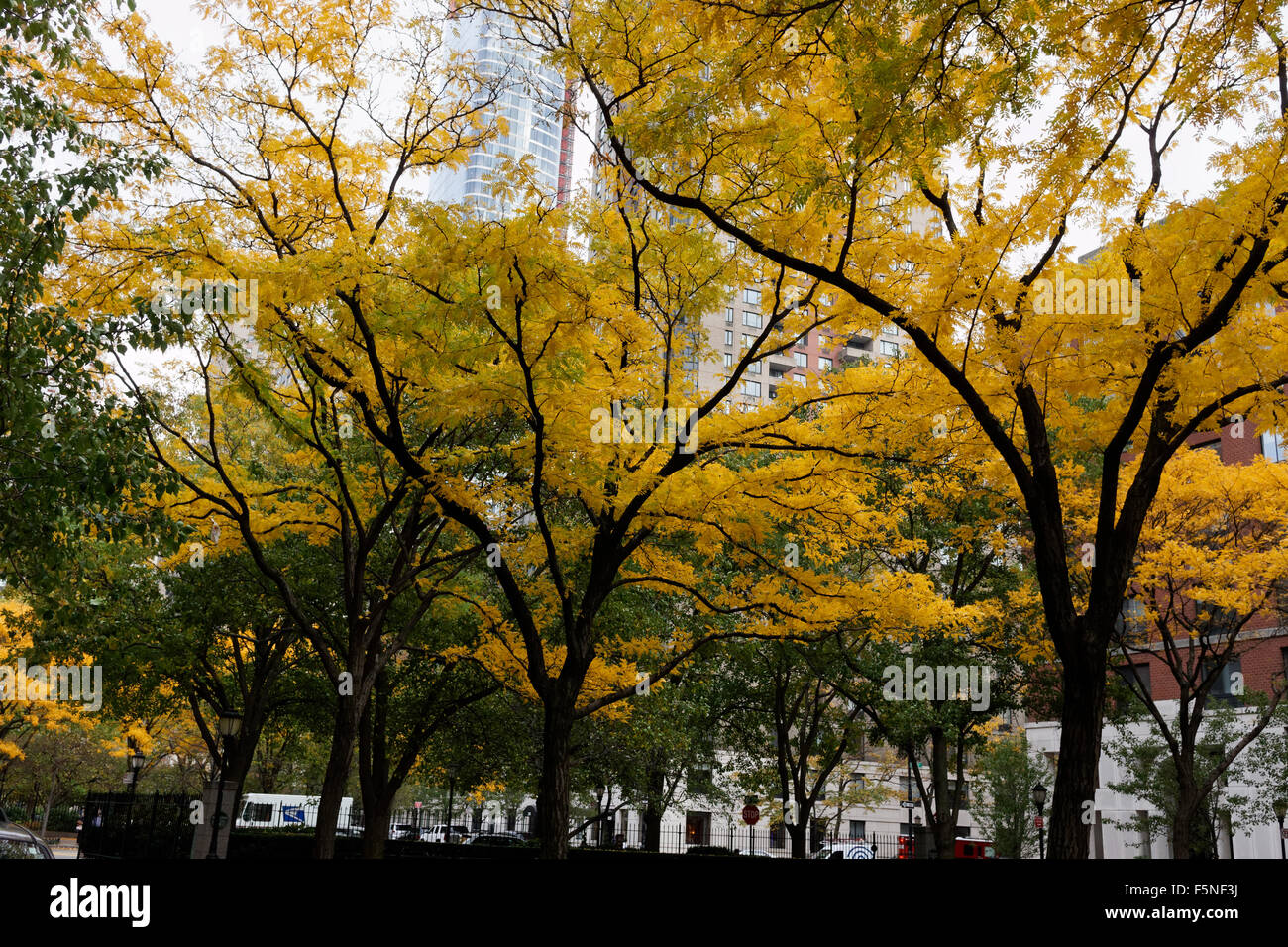 Neighborhood foliage hi-res stock photography and images - Alamy