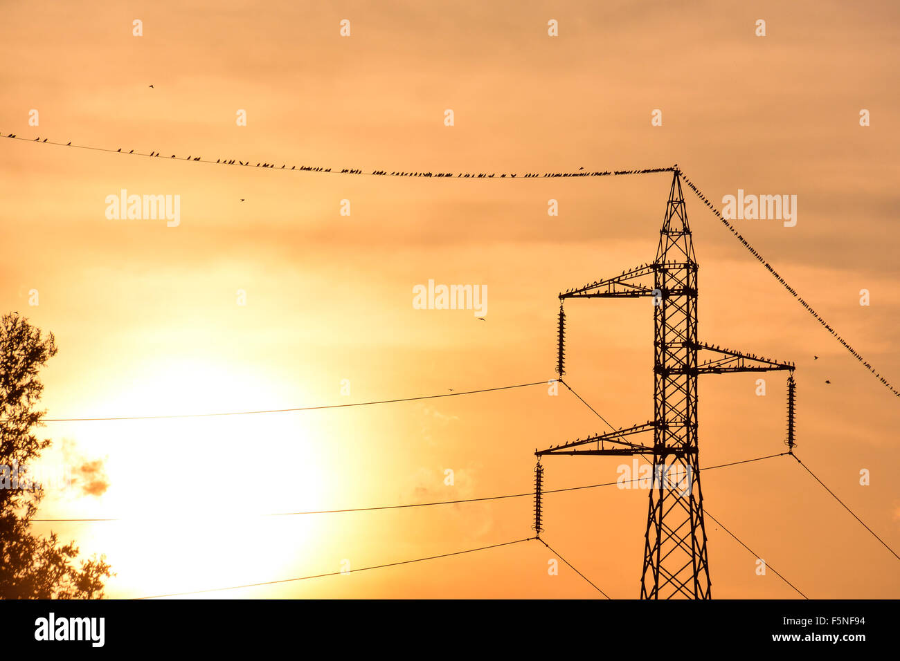 Electricity Pylon Pole Stock Photo - Alamy