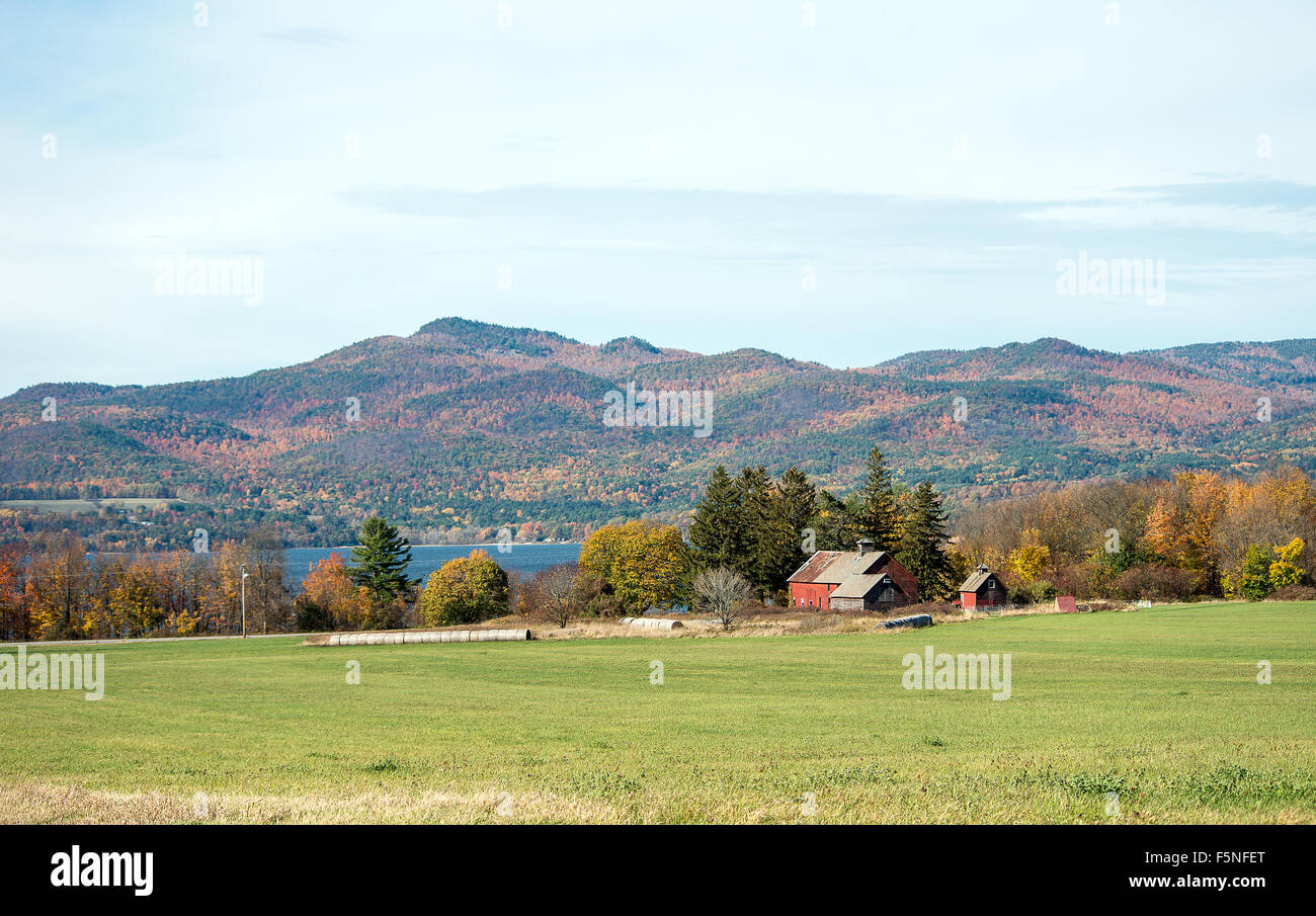 Old barns on the edge of a Vermont field in the fall with the ...