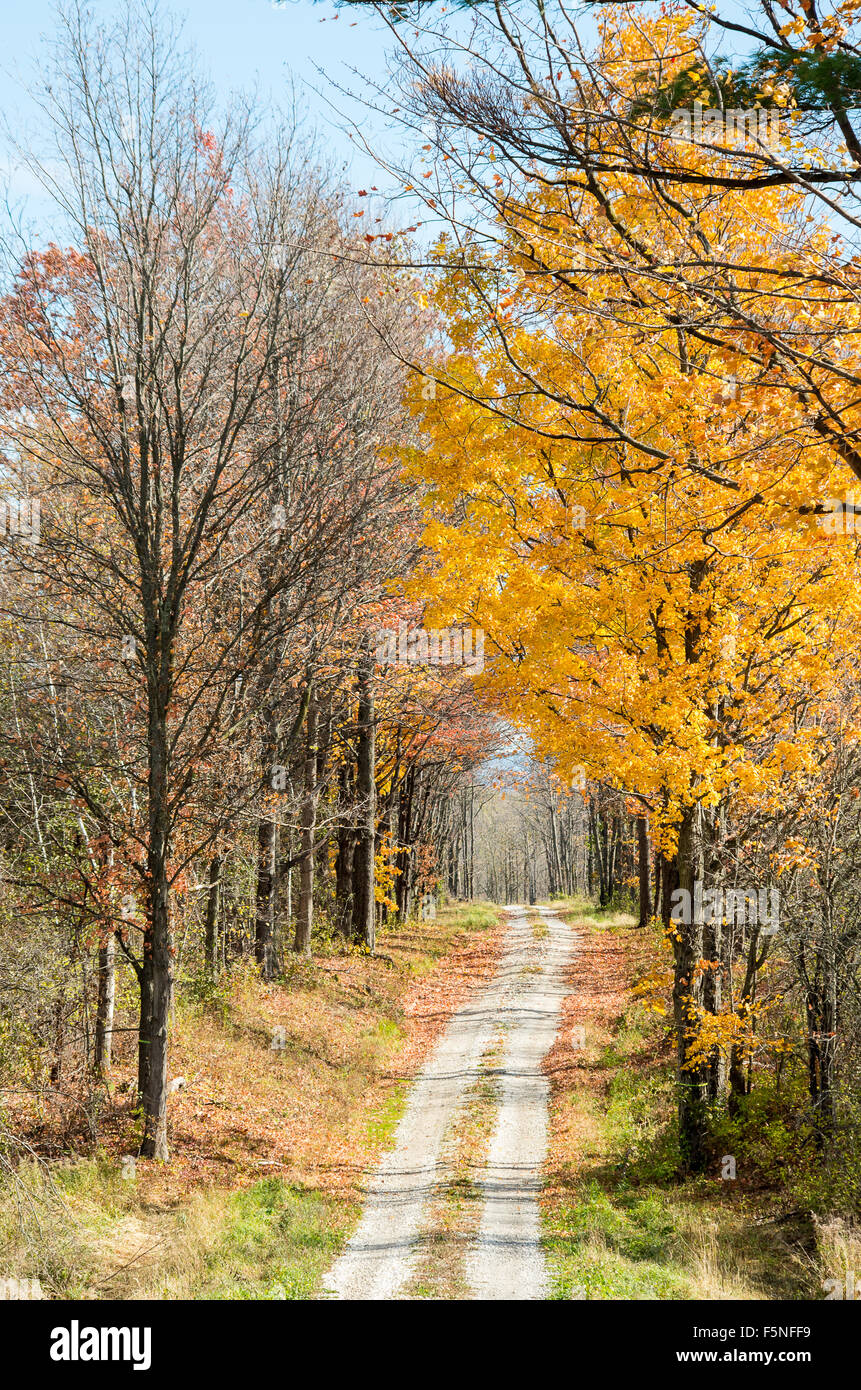 Fall country road hi-res stock photography and images - Alamy
