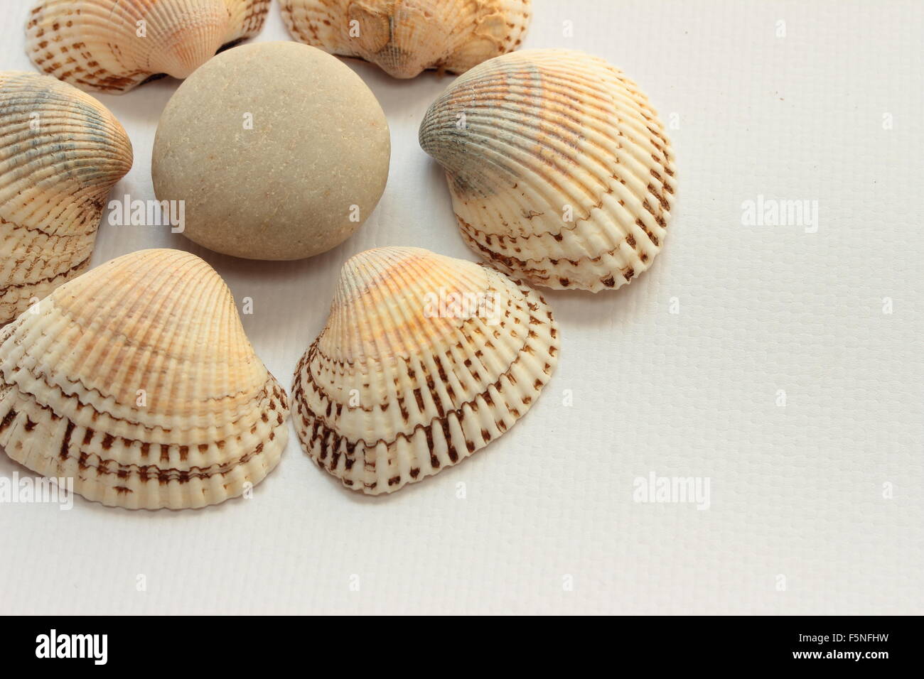 sea pebbles and shells in the form of color Stock Photo - Alamy