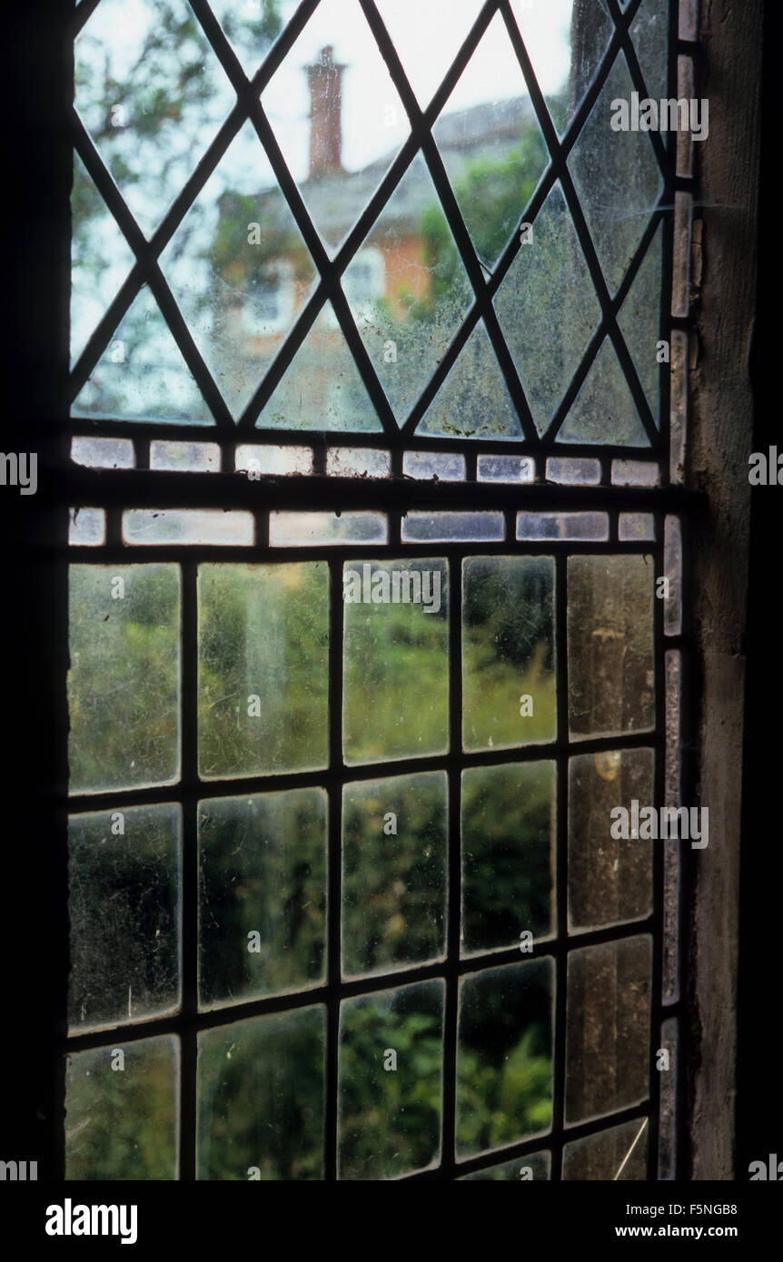 View through leaded window of garden with bushes in summer growth and ...