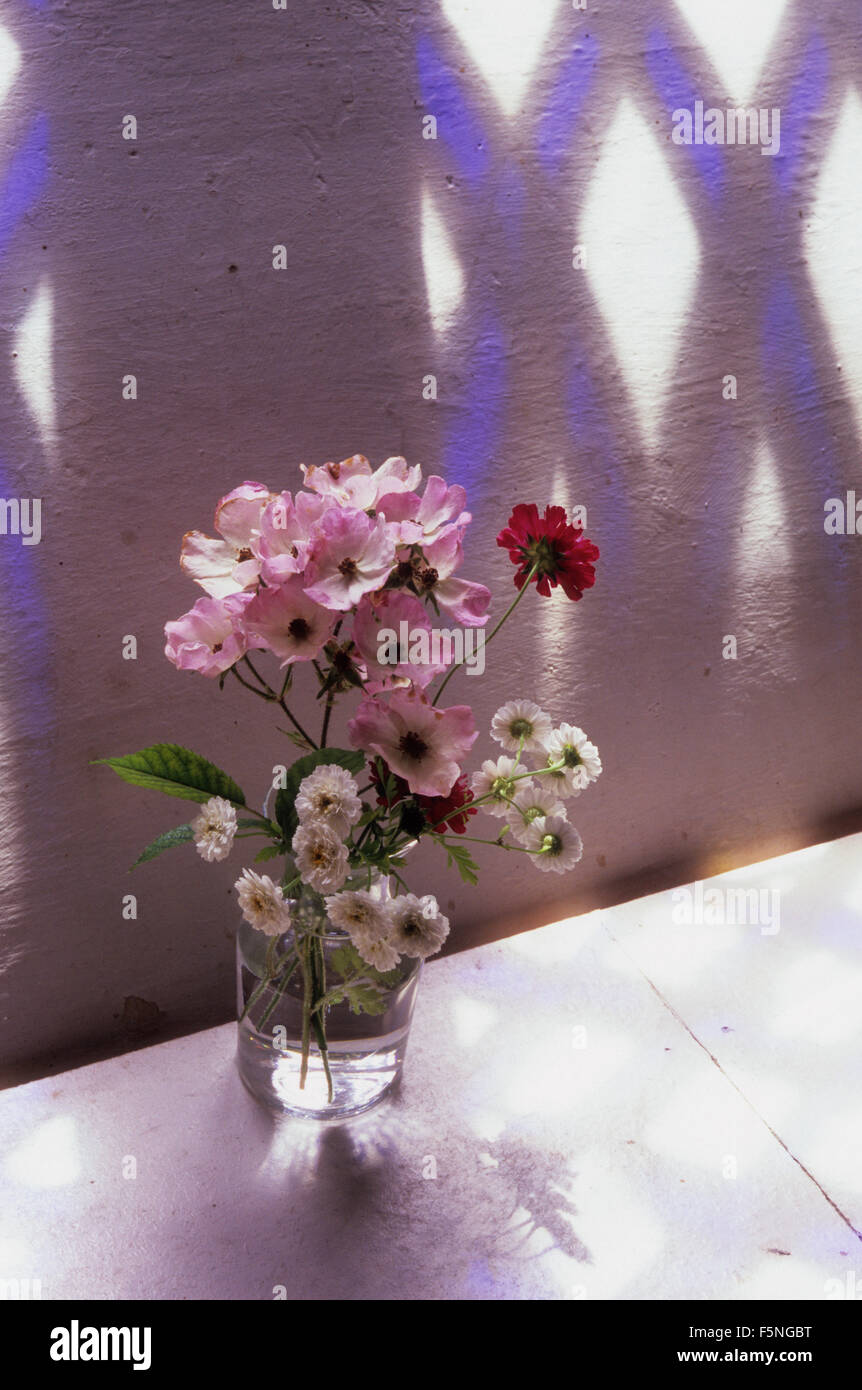 Diamond window panes hi-res stock photography and images - Alamy