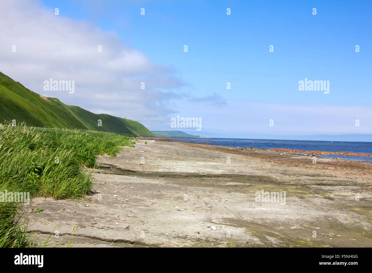 Coast of Bering sea, supralitoral, tidal zone, gramineous meadows Stock ...