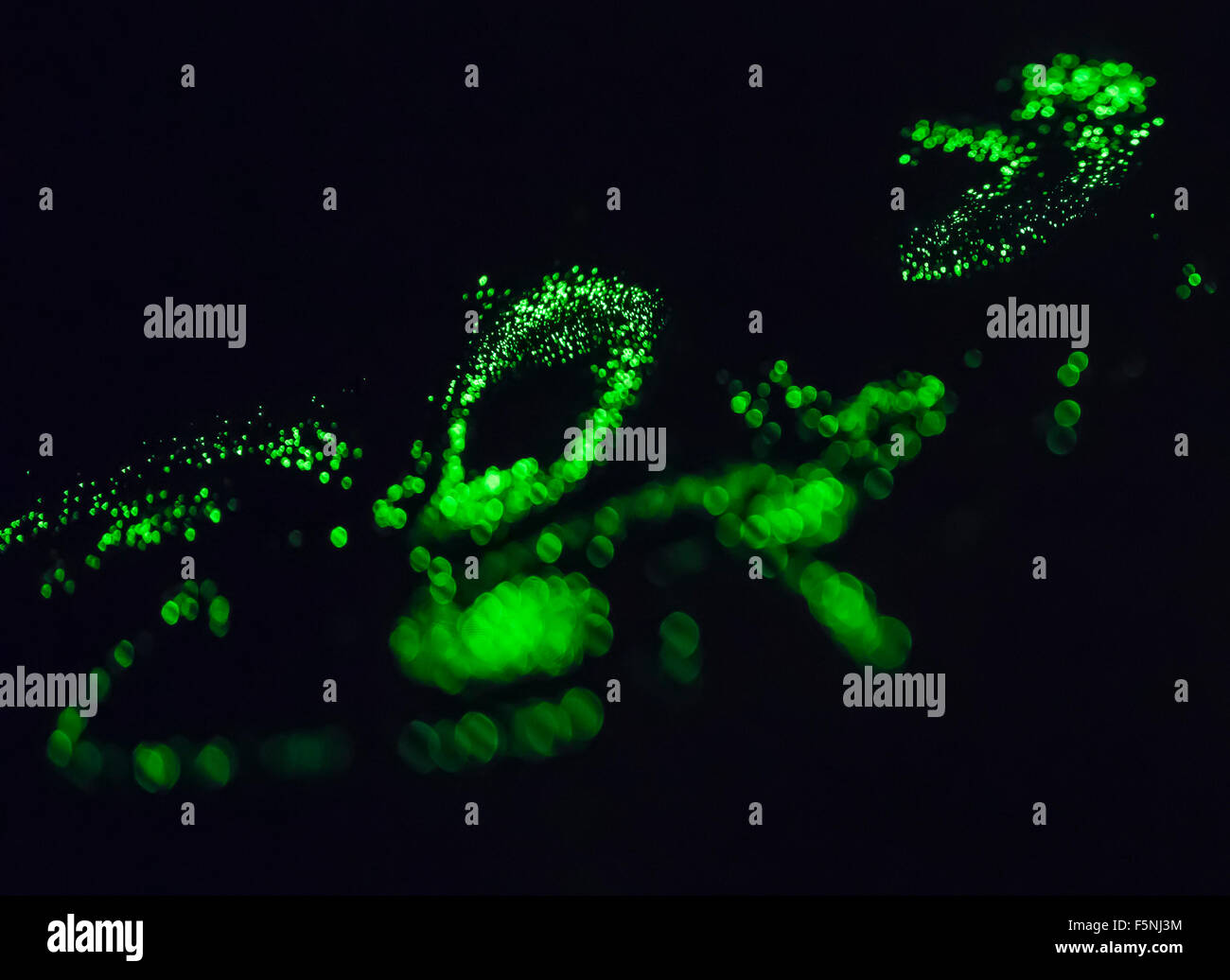 Cloud of bright green dust particles floating in air and illuminated by ...