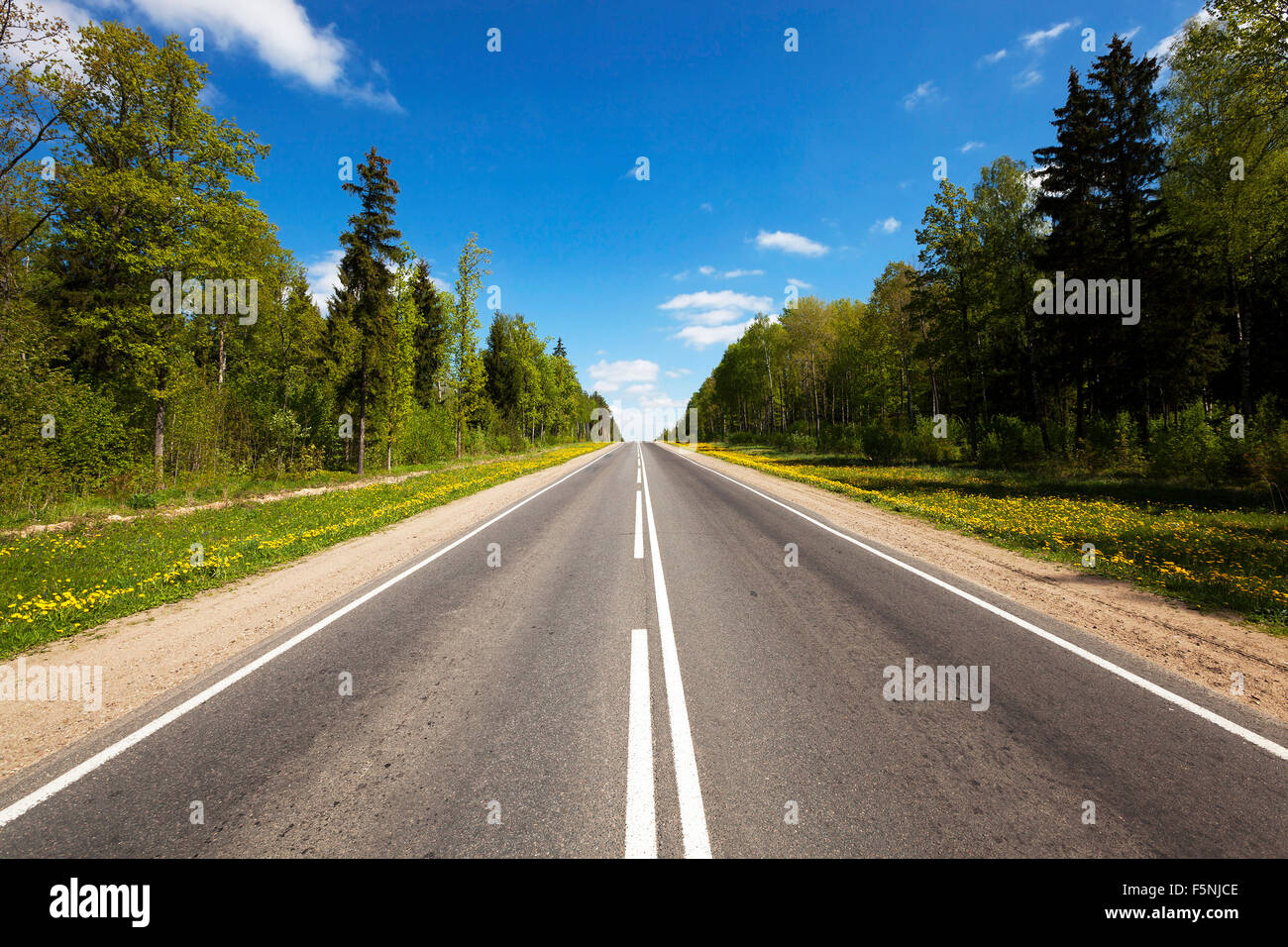 asphalt road . spring Stock Photo - Alamy