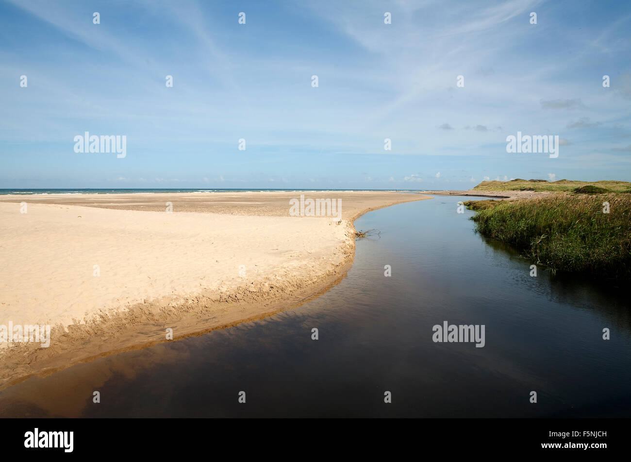 The river Liver has its mouth on the west coast of Denmark. As Denmark ...