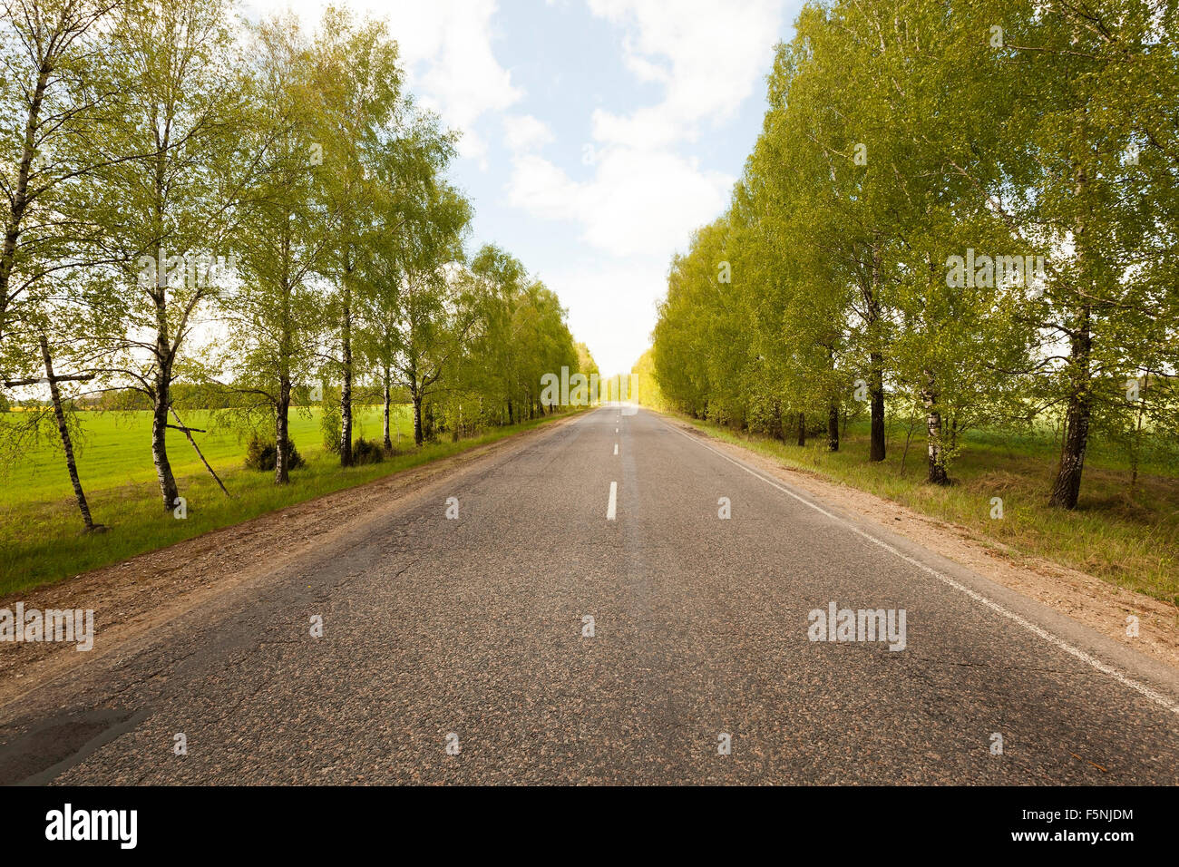 Spring road . countryside Stock Photo - Alamy