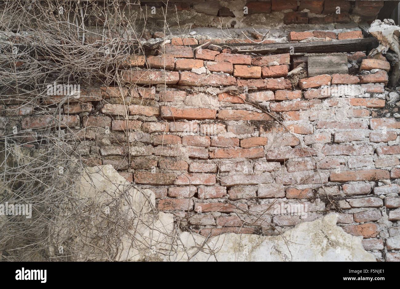 Brick wall wall hi-res stock photography and images - Alamy