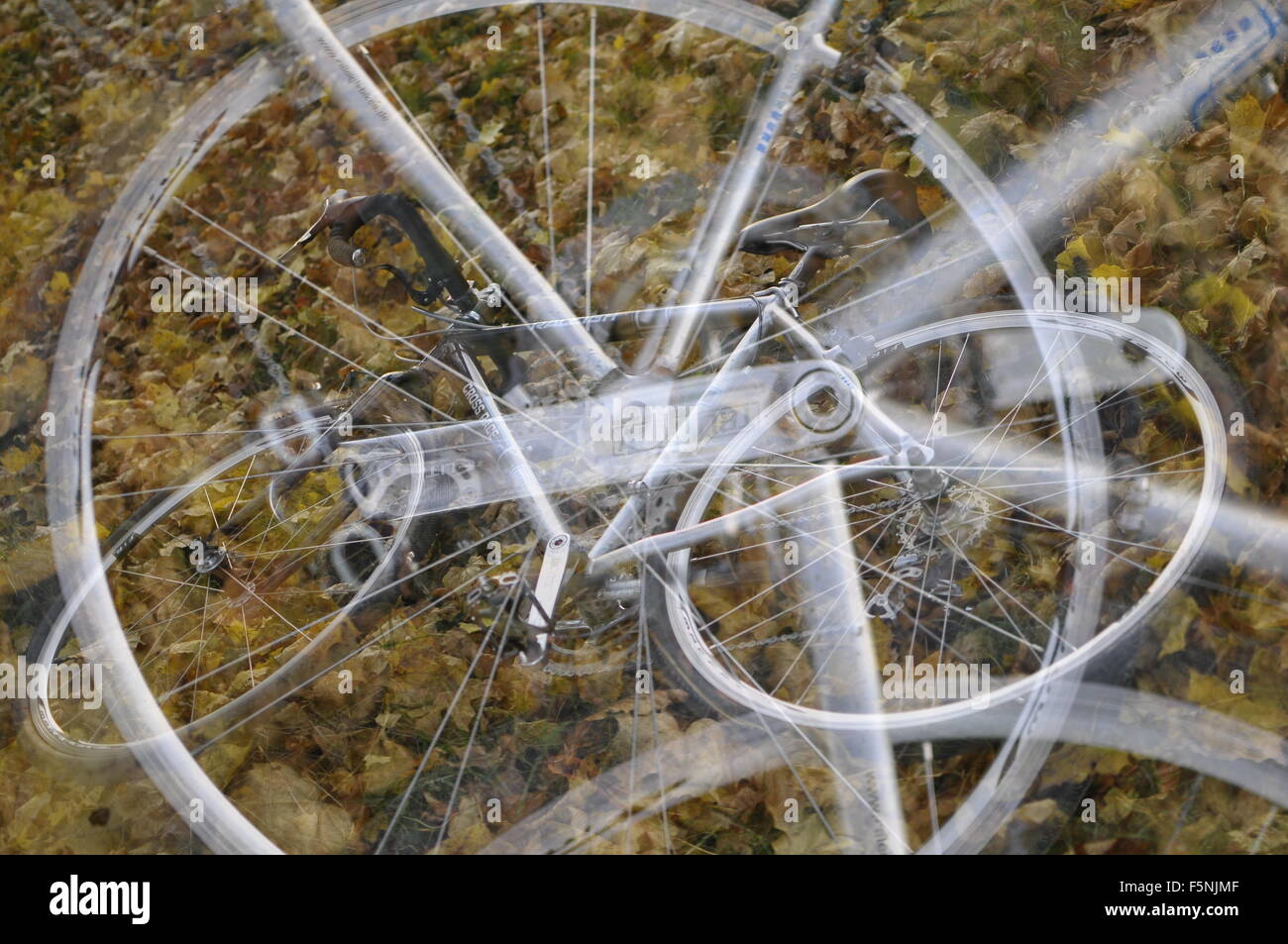 Cycle cycle hi-res stock photography and images - Alamy