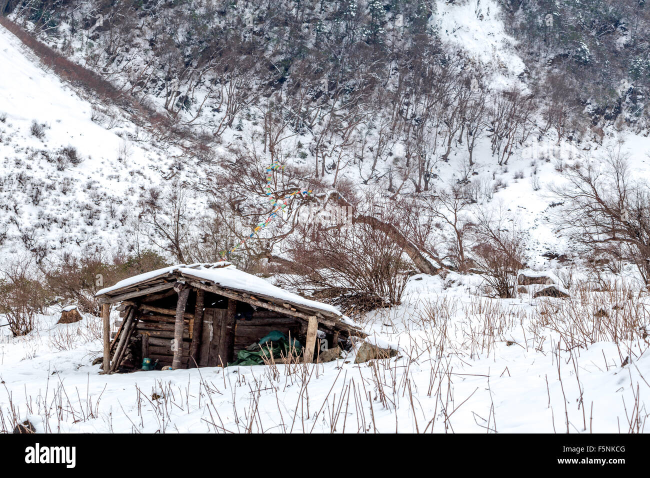 Snow house hi-res stock photography and images - Alamy
