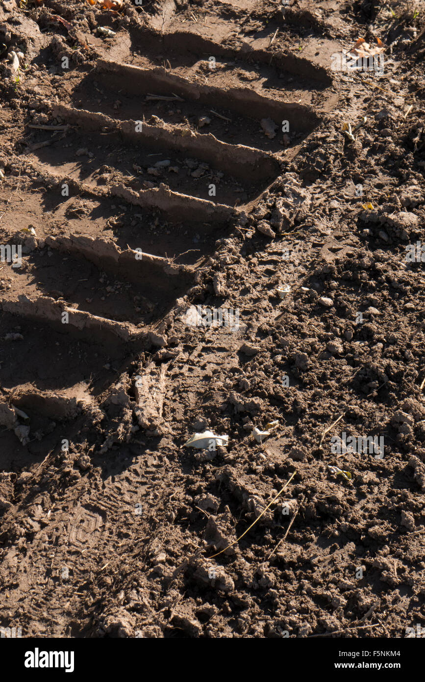 Mud ruts hi-res stock photography and images - Alamy