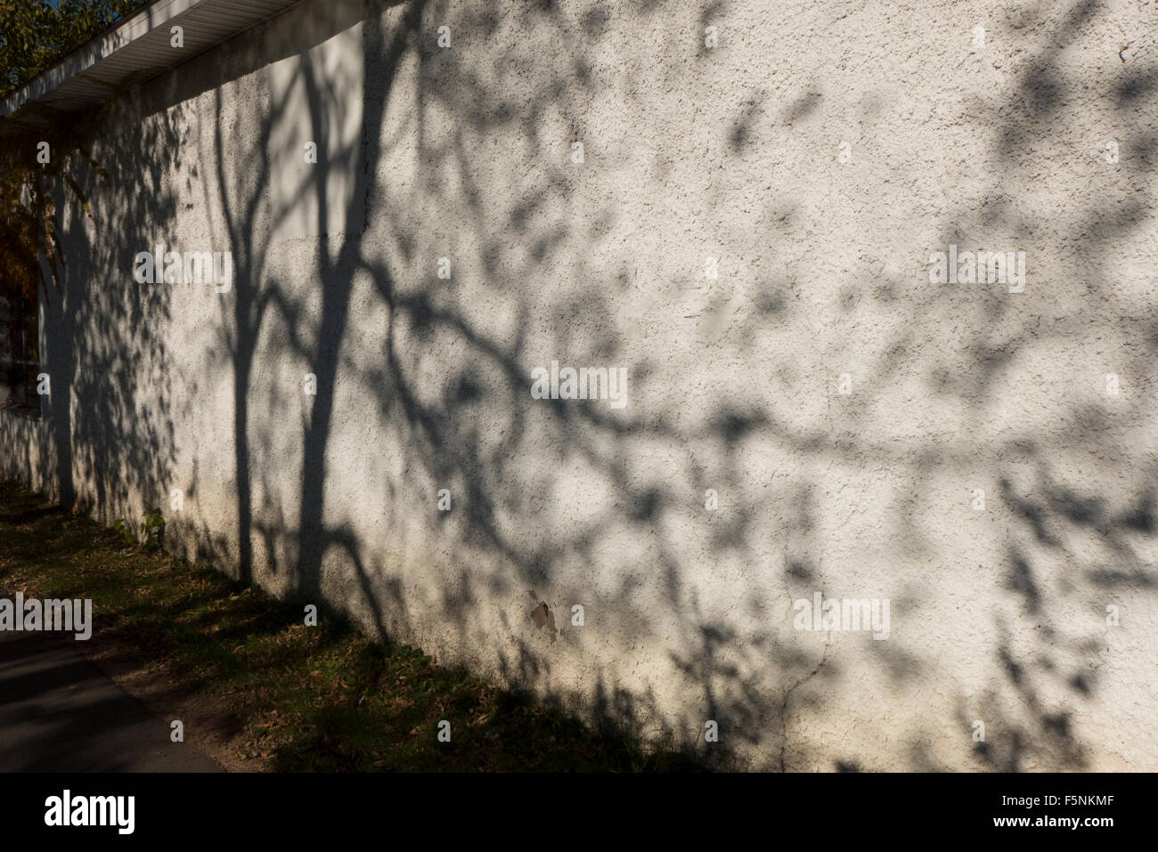 Trees cast shadows on hi-res stock photography and images - Alamy