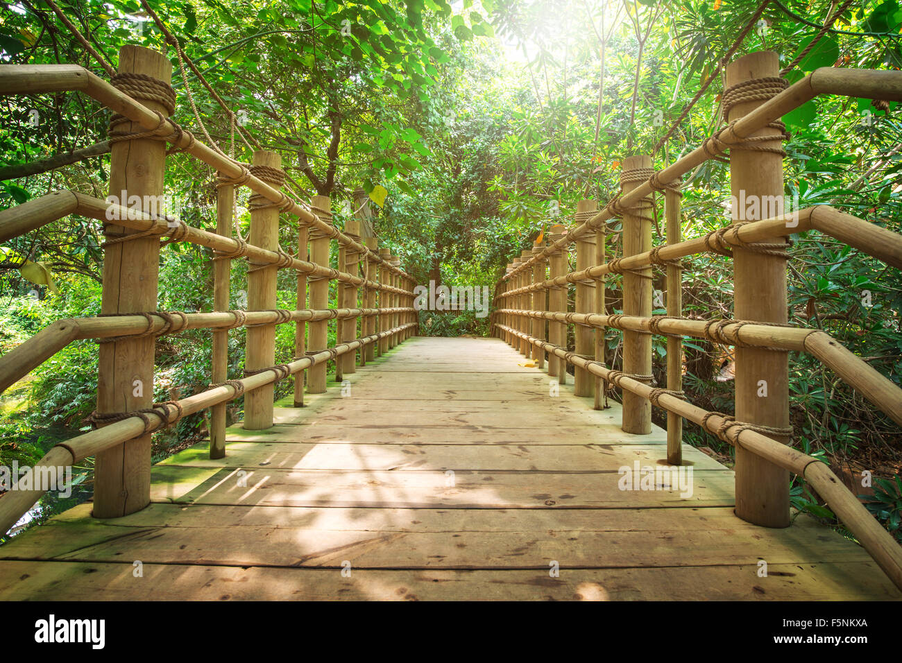 Wooden bridge in forest Stock Photo - Alamy