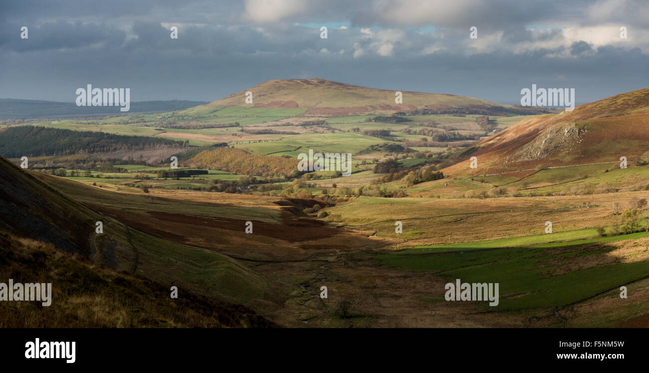 Binsey hi-res stock photography and images - Alamy