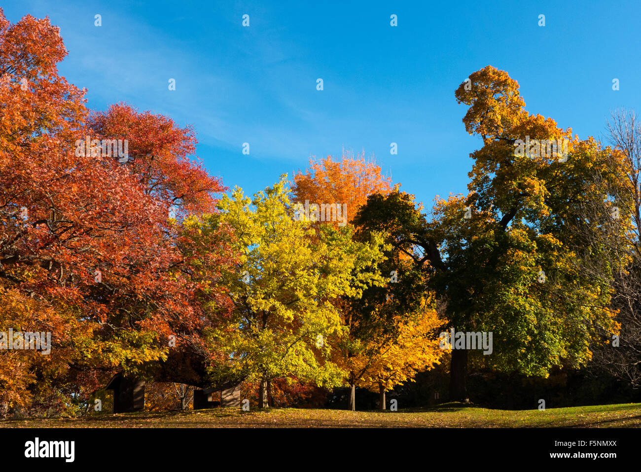 Autumn colors in upstate NY USA Stock Photo - Alamy