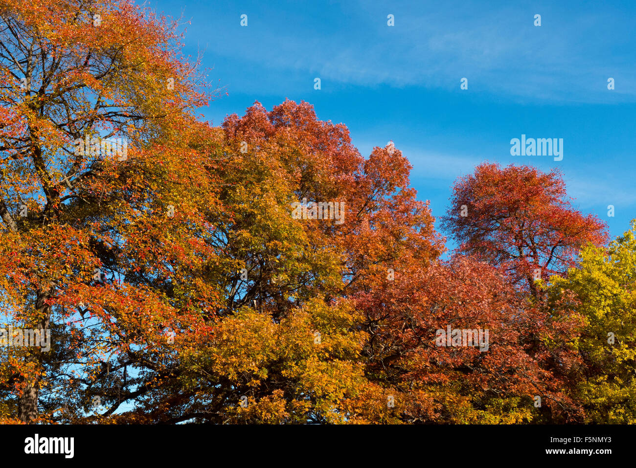 Autumn colors in upstate NY USA Stock Photo - Alamy