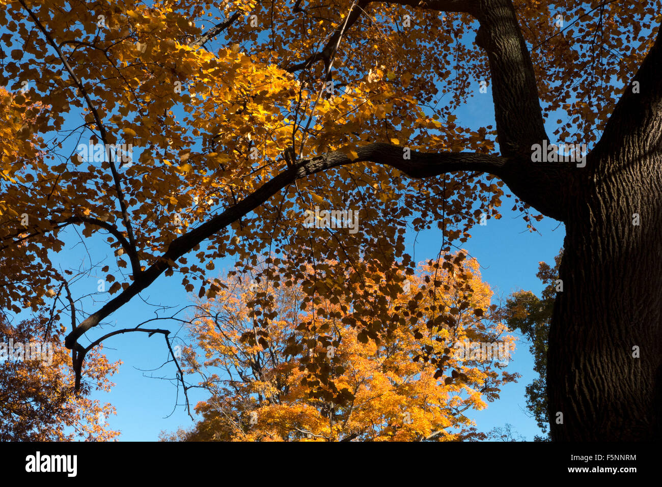 Autumn colors in upstate NY USA Stock Photo - Alamy