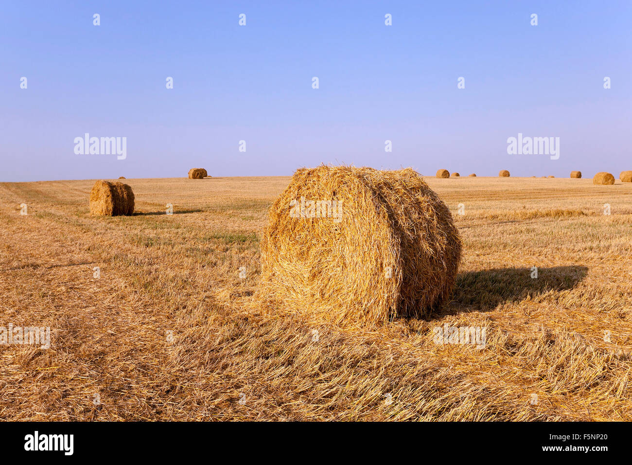stack of straw Stock Photo - Alamy