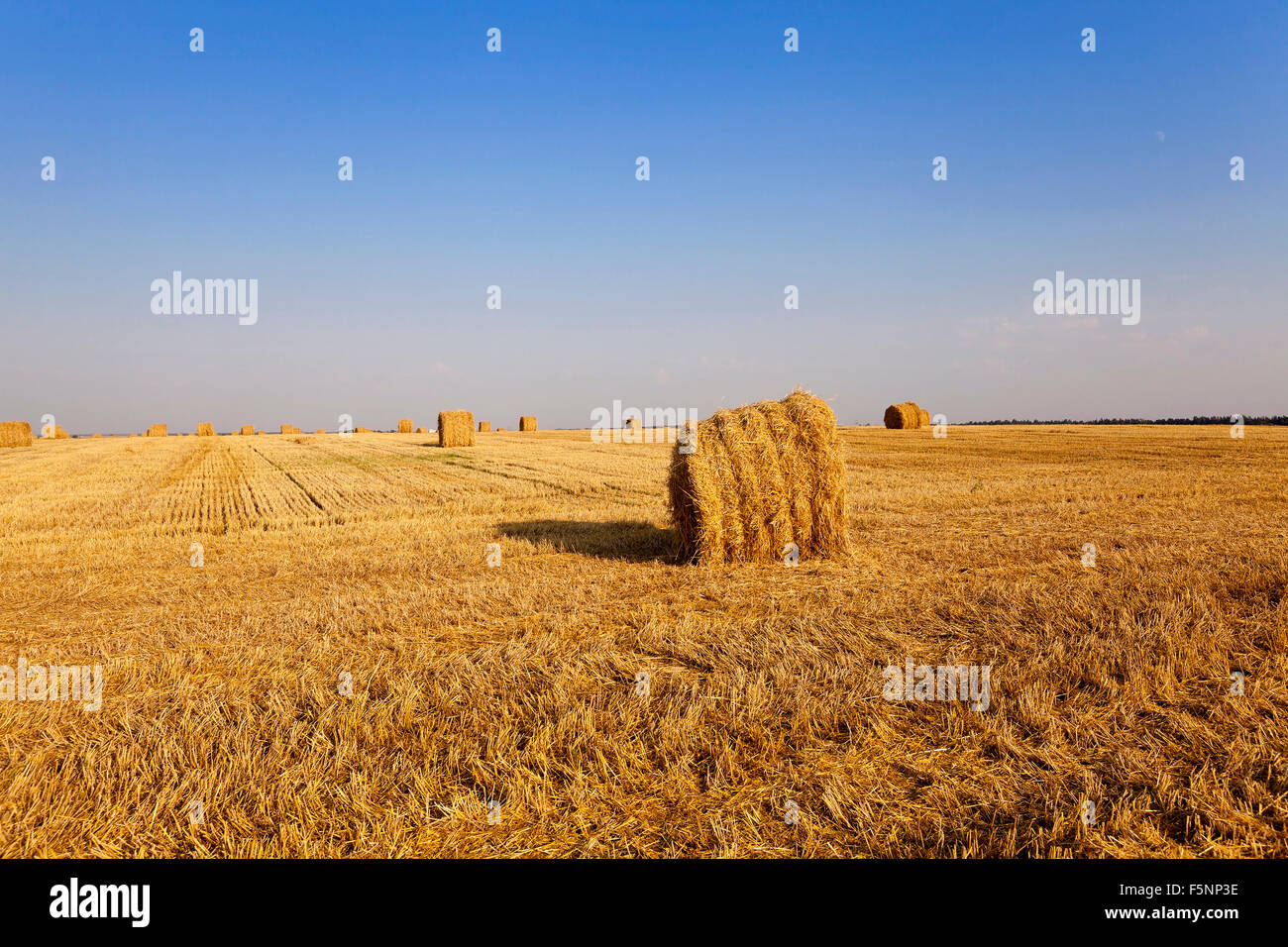 stack of straw Stock Photo - Alamy
