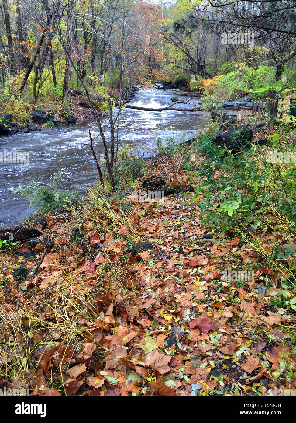 Irondequoit hi-res stock photography and images - Alamy